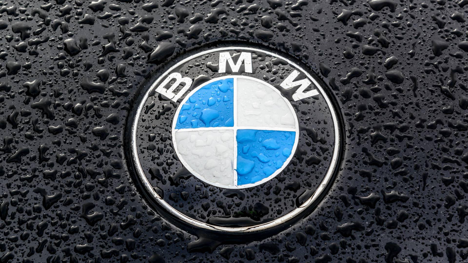 The 10 best auto brands for 2024 in Consumer Reports' rankings - Autoblog