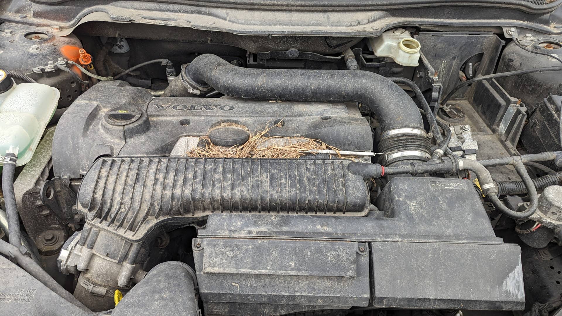Junkyard Gem: 2012 Volvo C30 T5 with 6-speed manual - Autoblog