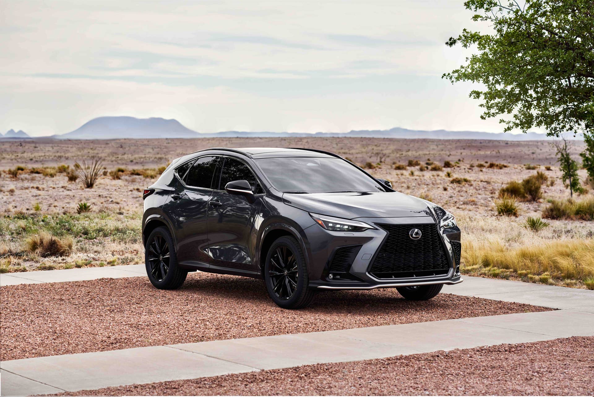 Most Reliable Crossover SUVs for 2026—Honda Beats Toyota in Latest ...