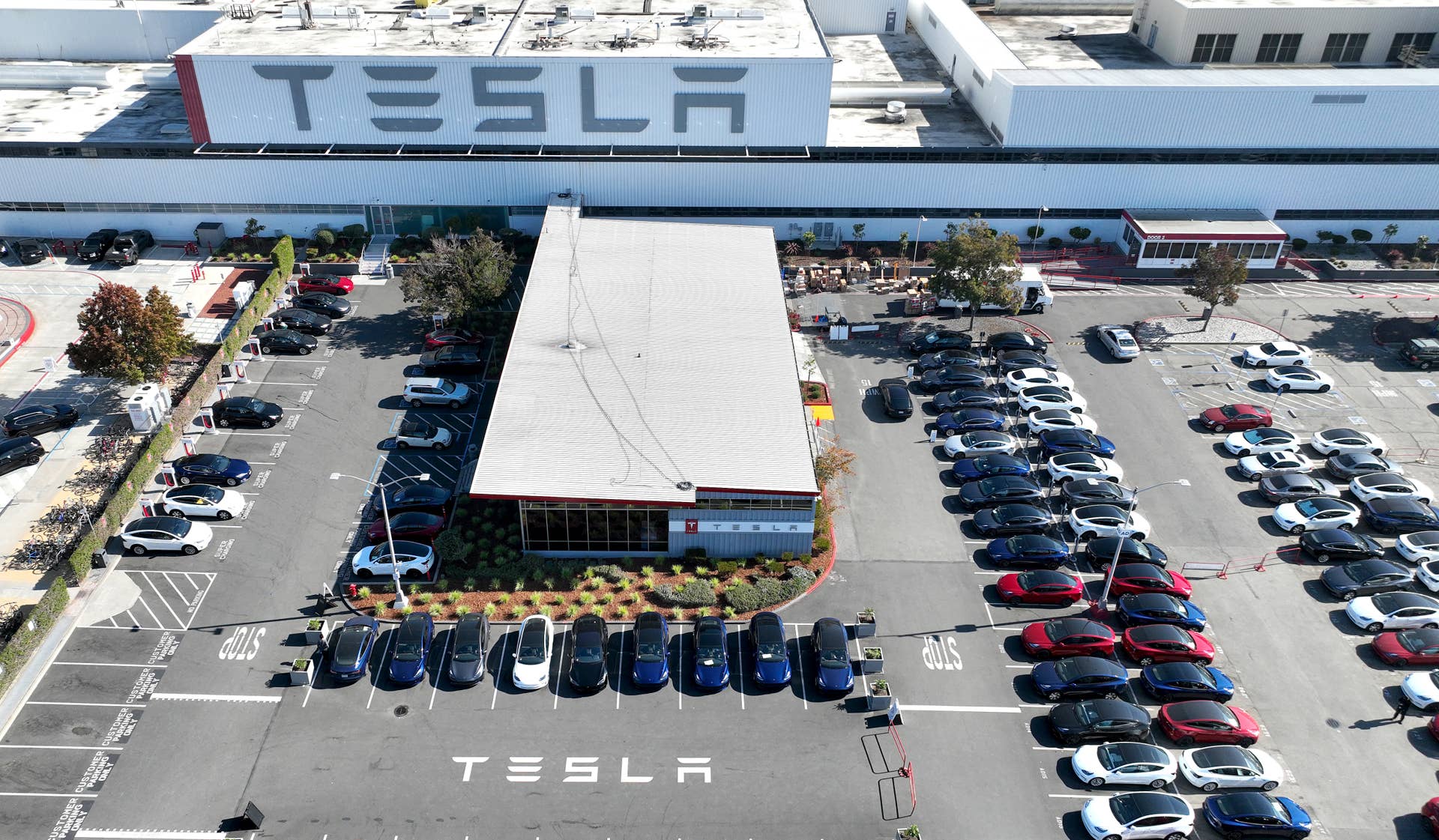 Tesla Sued After Worker Says Austin Shooting Suspect Assaulted Her ...