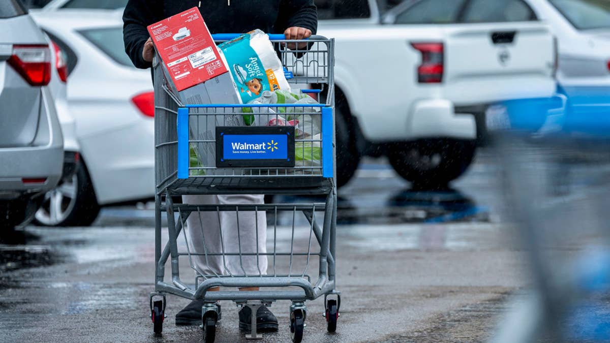 Walmart's Seizeen Storage Shed Is Currently on Sale for $320 - Autoblog