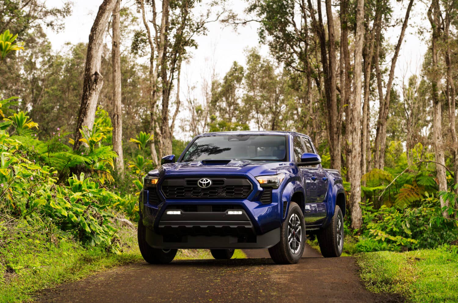2025 Nissan Frontier vs. 2025 Toyota Tacoma: 5 Major Differences - Autoblog
