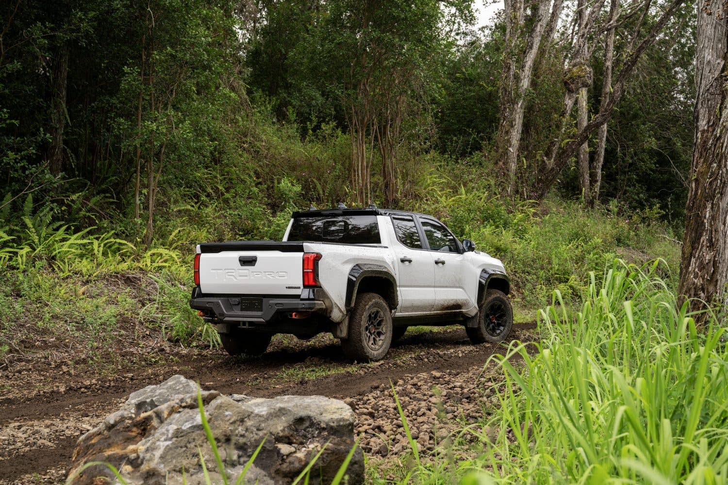 Toyota Drops Compelling 2025 Tacoma TRD Pro Lease Deal for September ...