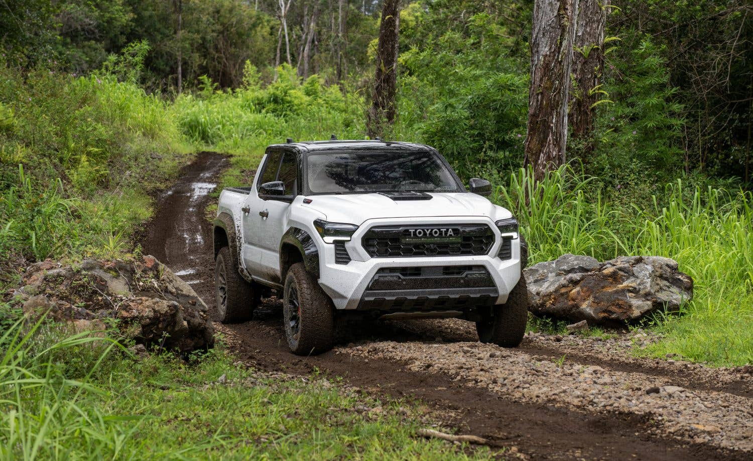 Toyota Drops Compelling 2025 Tacoma TRD Pro Lease Deal for September ...