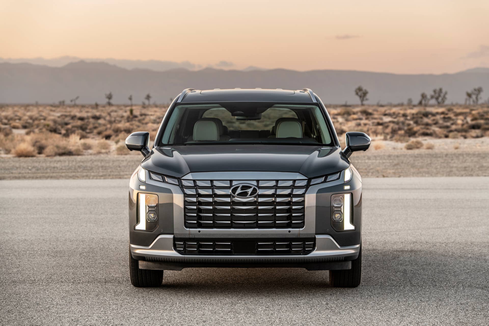 2025 Hyundai Palisade vs. 2025 Kia Telluride: Which One Is Right for ...