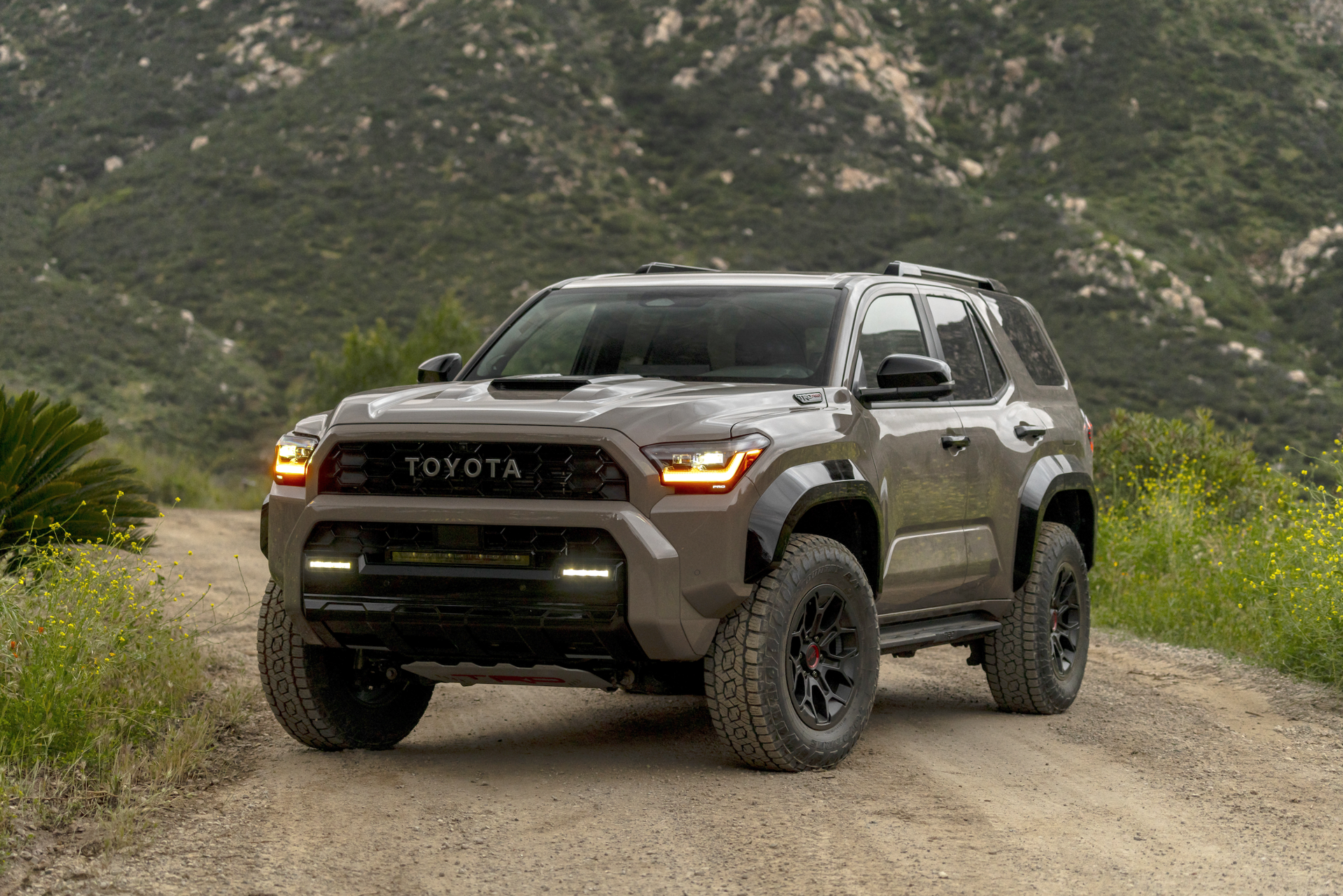 2025 Honda Pilot vs. 2025 Toyota 4Runner: Which One Is Right For You ...