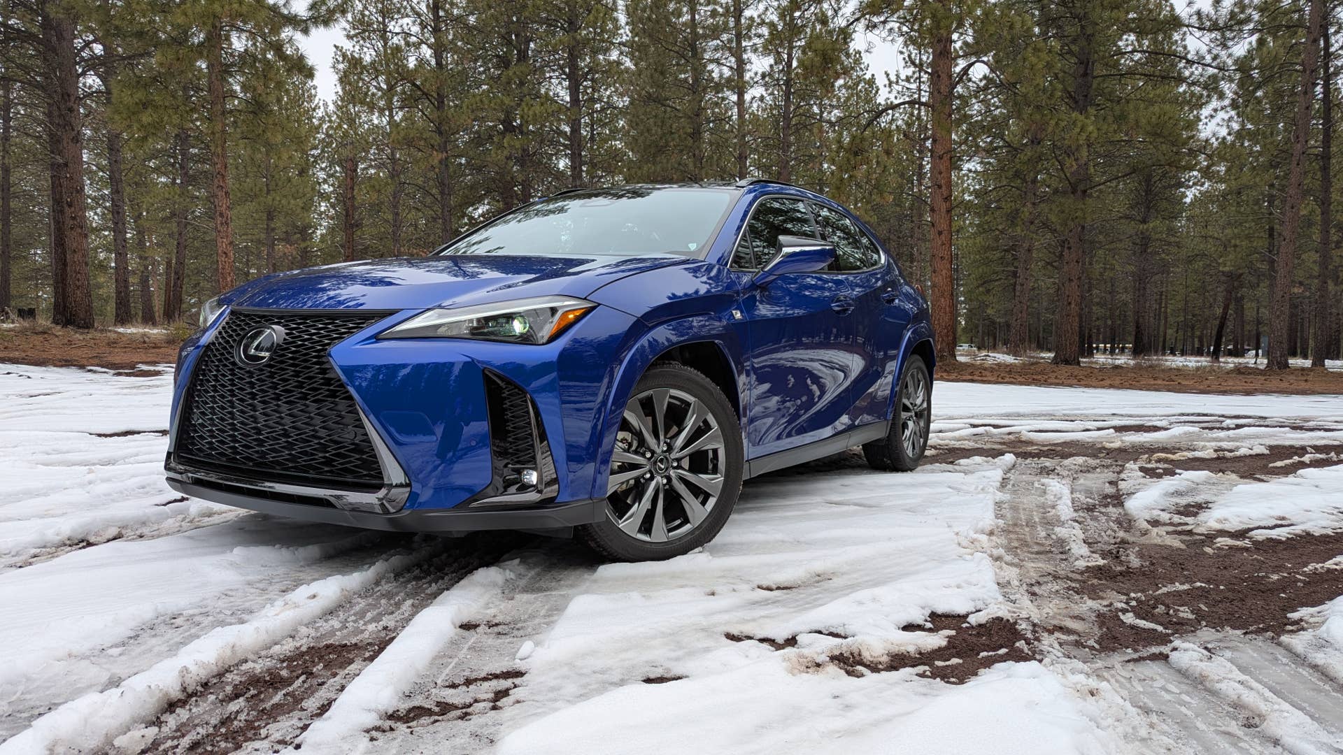 2025 Acura ADX vs. 2025 Lexus UX: 5 Key Differences - Autoblog