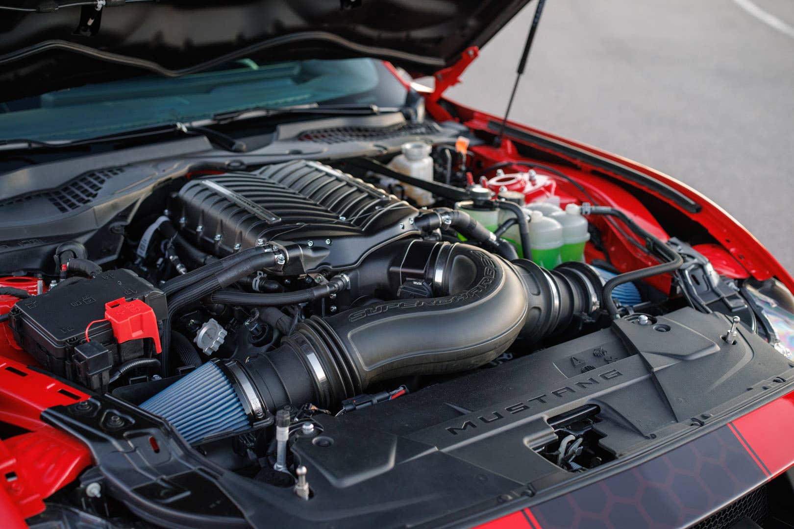 2026 Shelby Super Snake-R Revealed With More Power Than Mustang GTD ...