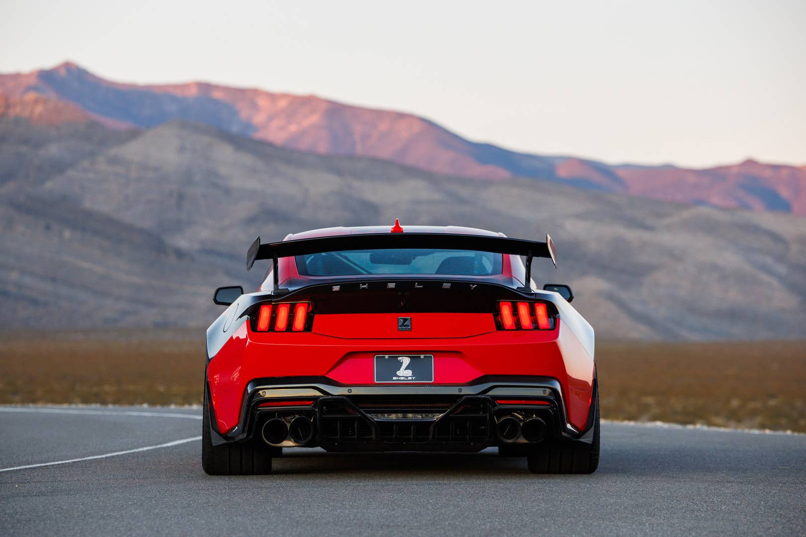 2026 Shelby Super Snake-R Revealed With More Power Than Mustang GTD ...