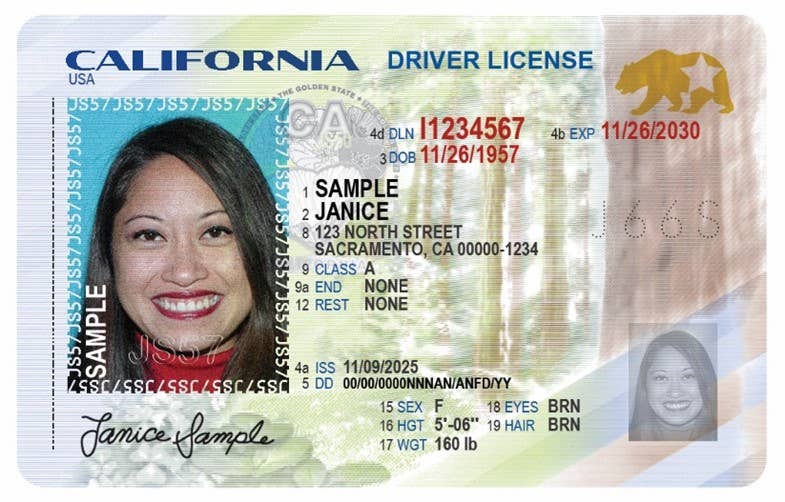California's New Driver's License Has Arrived - Autoblog