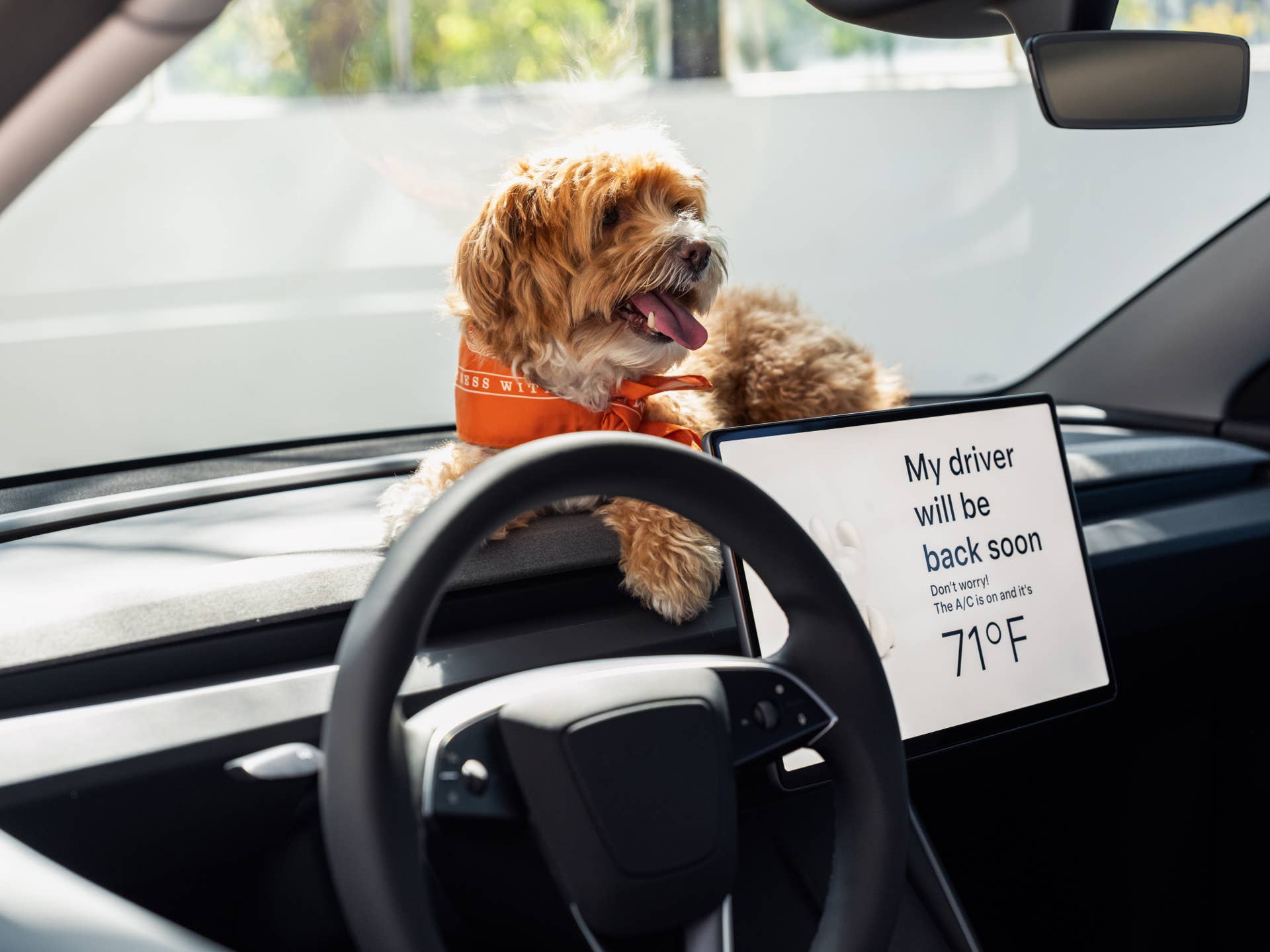 Tesla Will Sell You Back the Turn Signal Stalk It Removed—For $595 ...