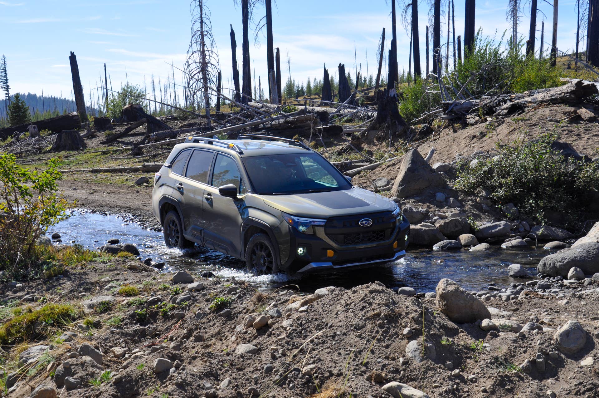 2026 Subaru Forester Wilderness vs 2026 Toyota RAV4 Woodland: I Drove ...