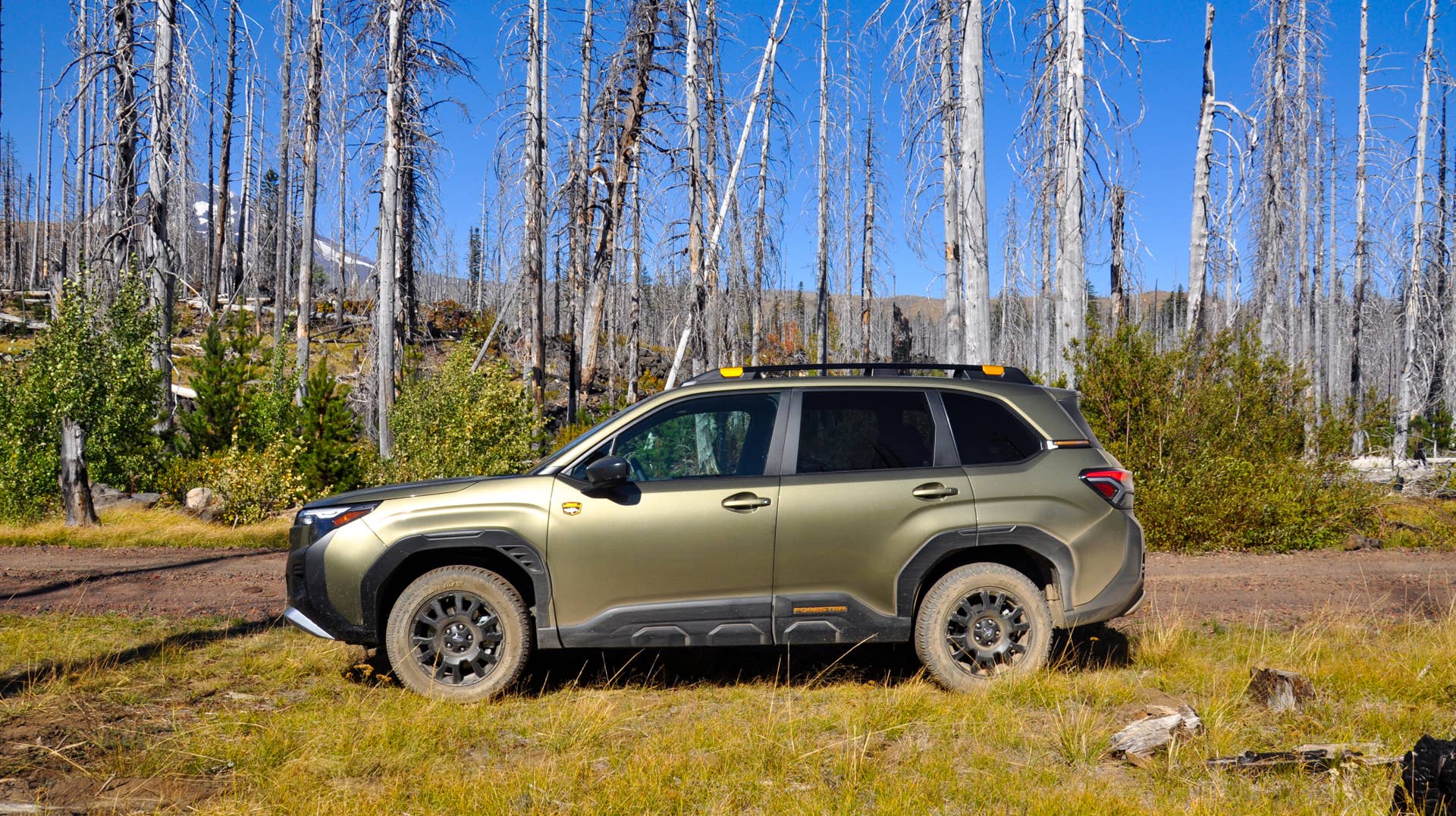 2026 Subaru Forester Wilderness First Drive Review: Off-Road Ready in ...