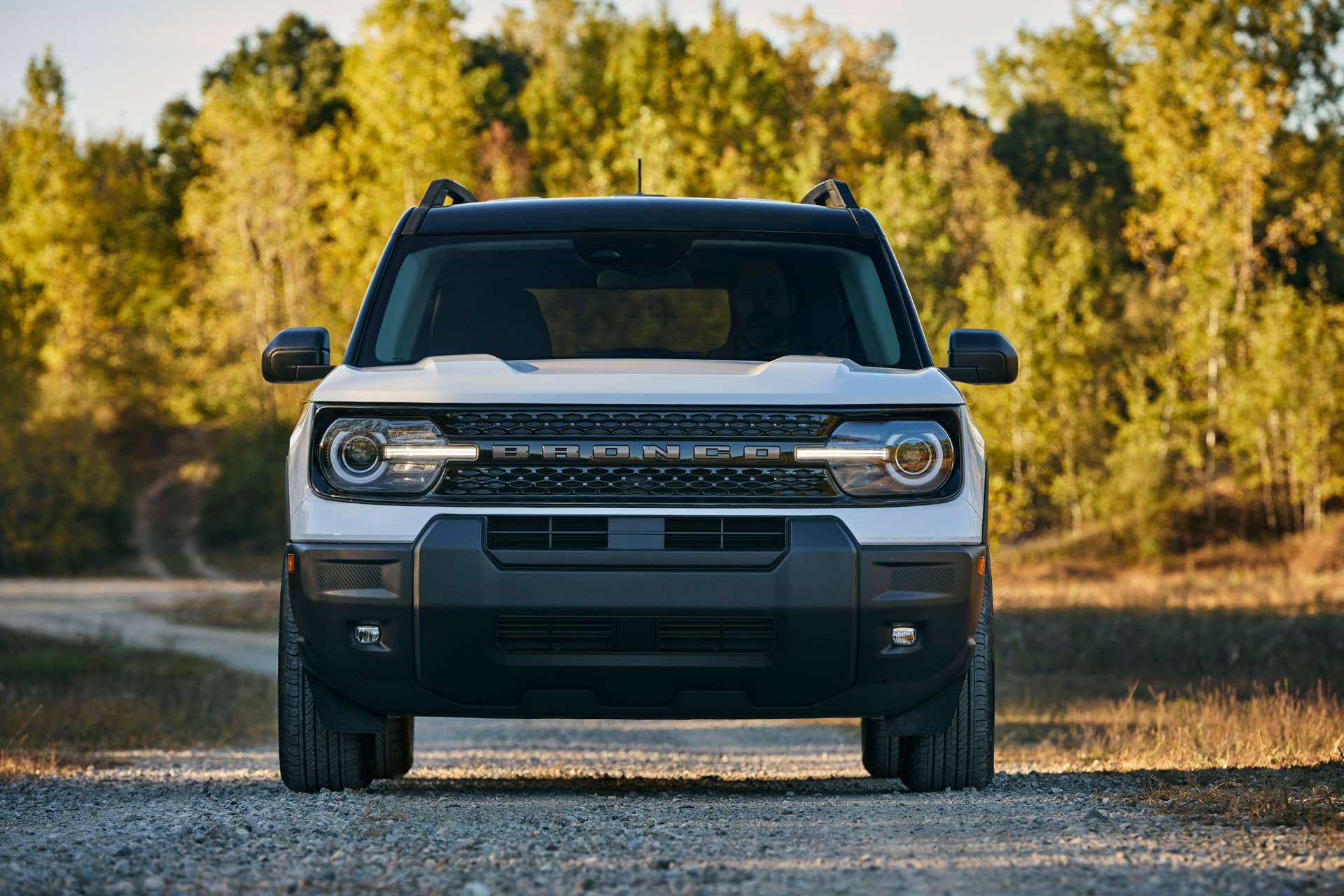 Ford Bronco Sport Gets Trendy Bronze Package To Combat Slowing Sales ...