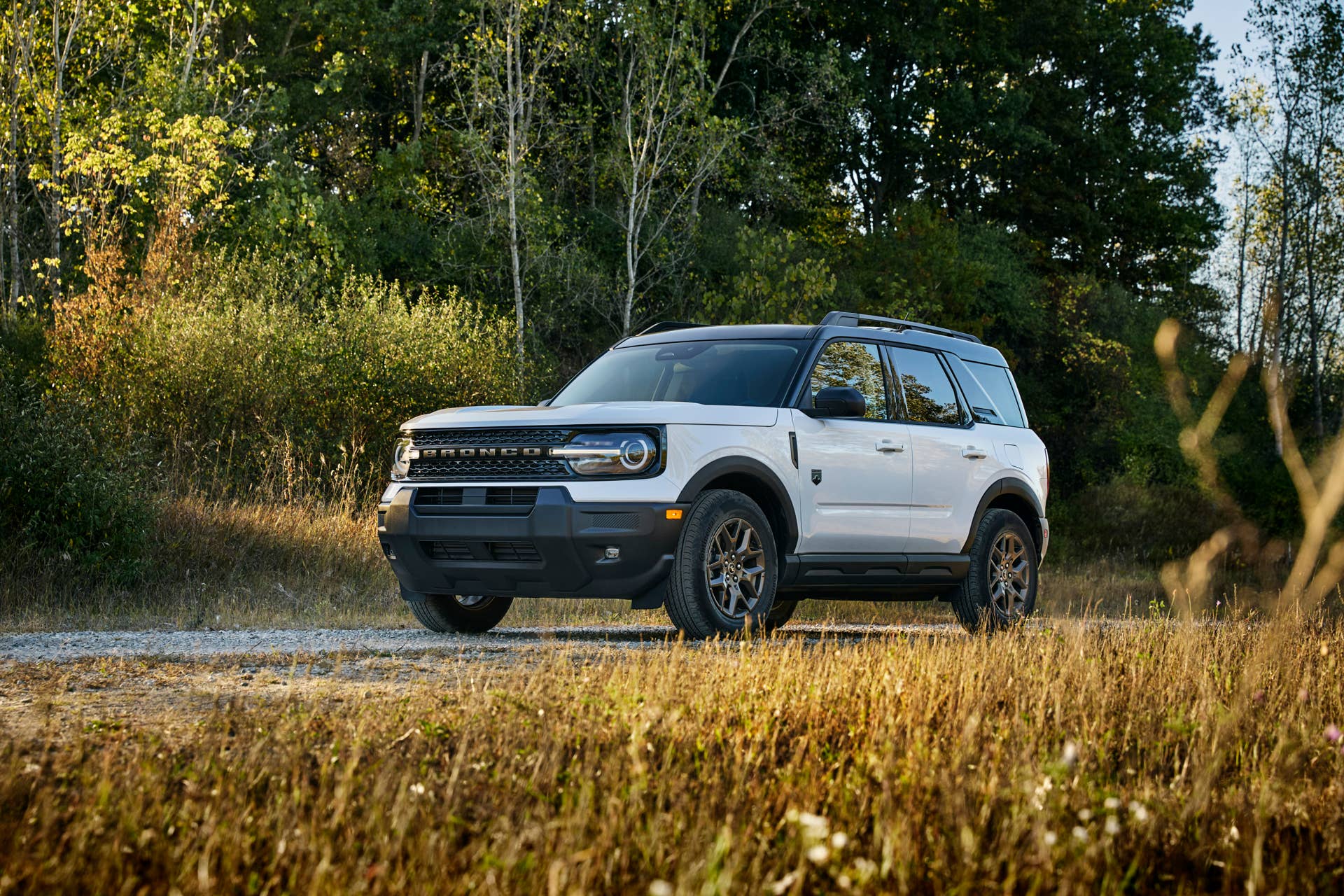 Ford Bronco Sport Gets Trendy Bronze Package To Combat Slowing Sales ...