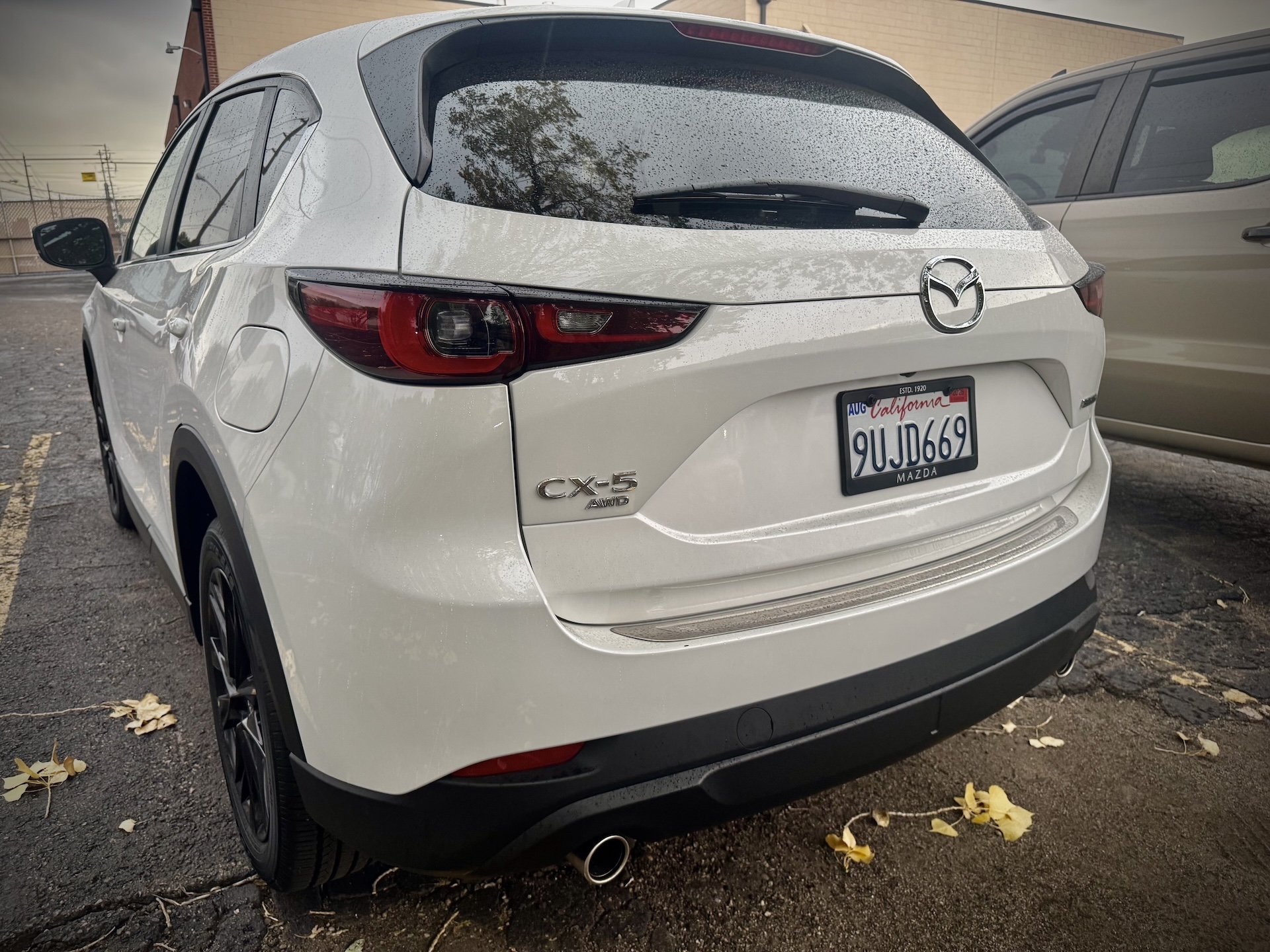 Does the 2025 Mazda CX-5 Carbon Edition Make Luxury Feel Attainable ...