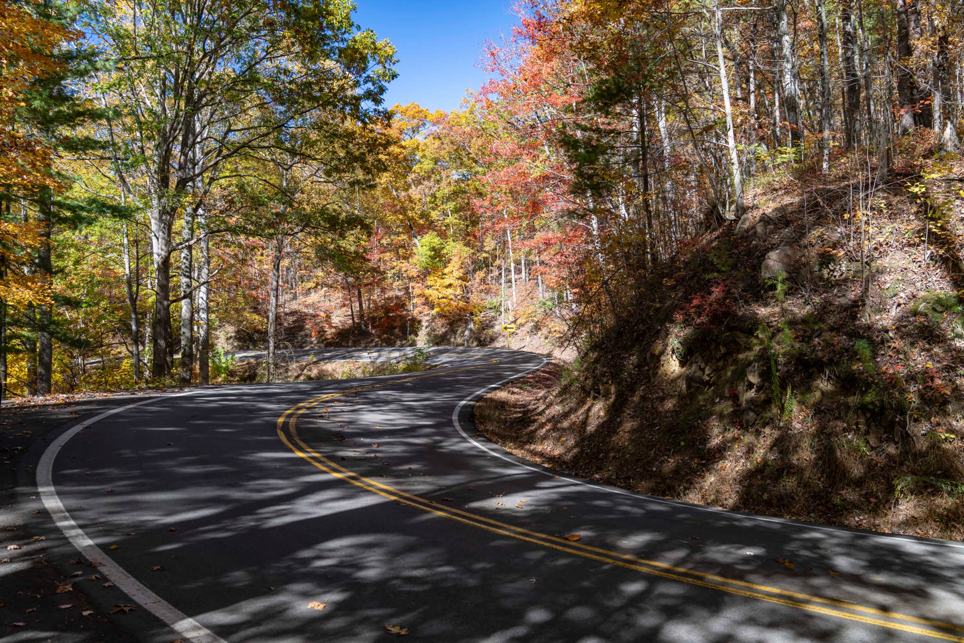 What It’s Like to Drive the Iconic “Tail of the Dragon” - Autoblog