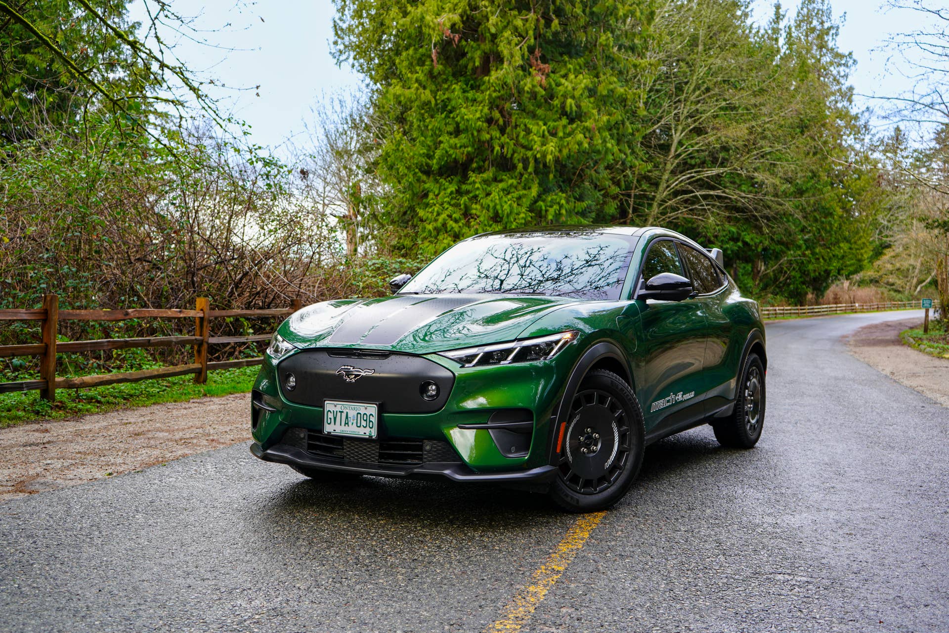 I Drive the 2025 Ford Mustang Mach-E Rally and Hyundai Ioniq 5 XRT Back ...