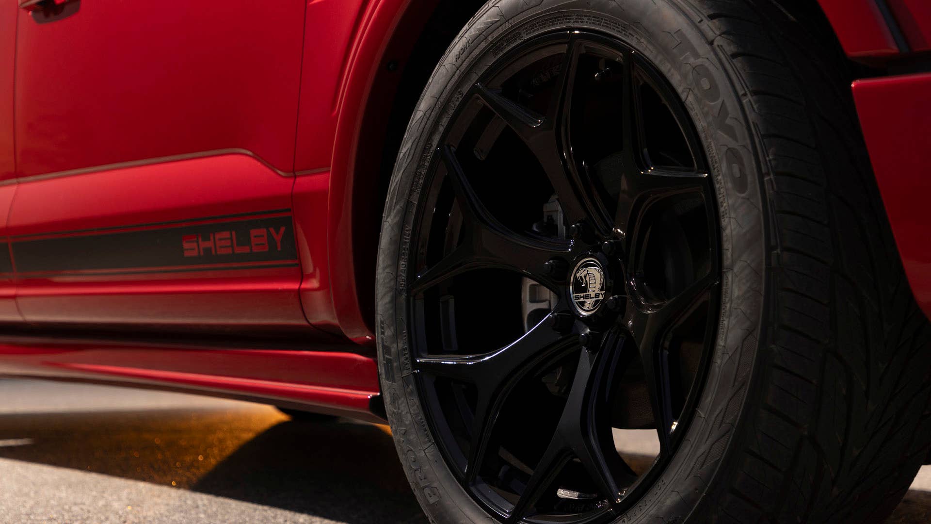 Shelby Teases a Single-Cab F-150 Super Snake Built From Ford’s Simplest ...