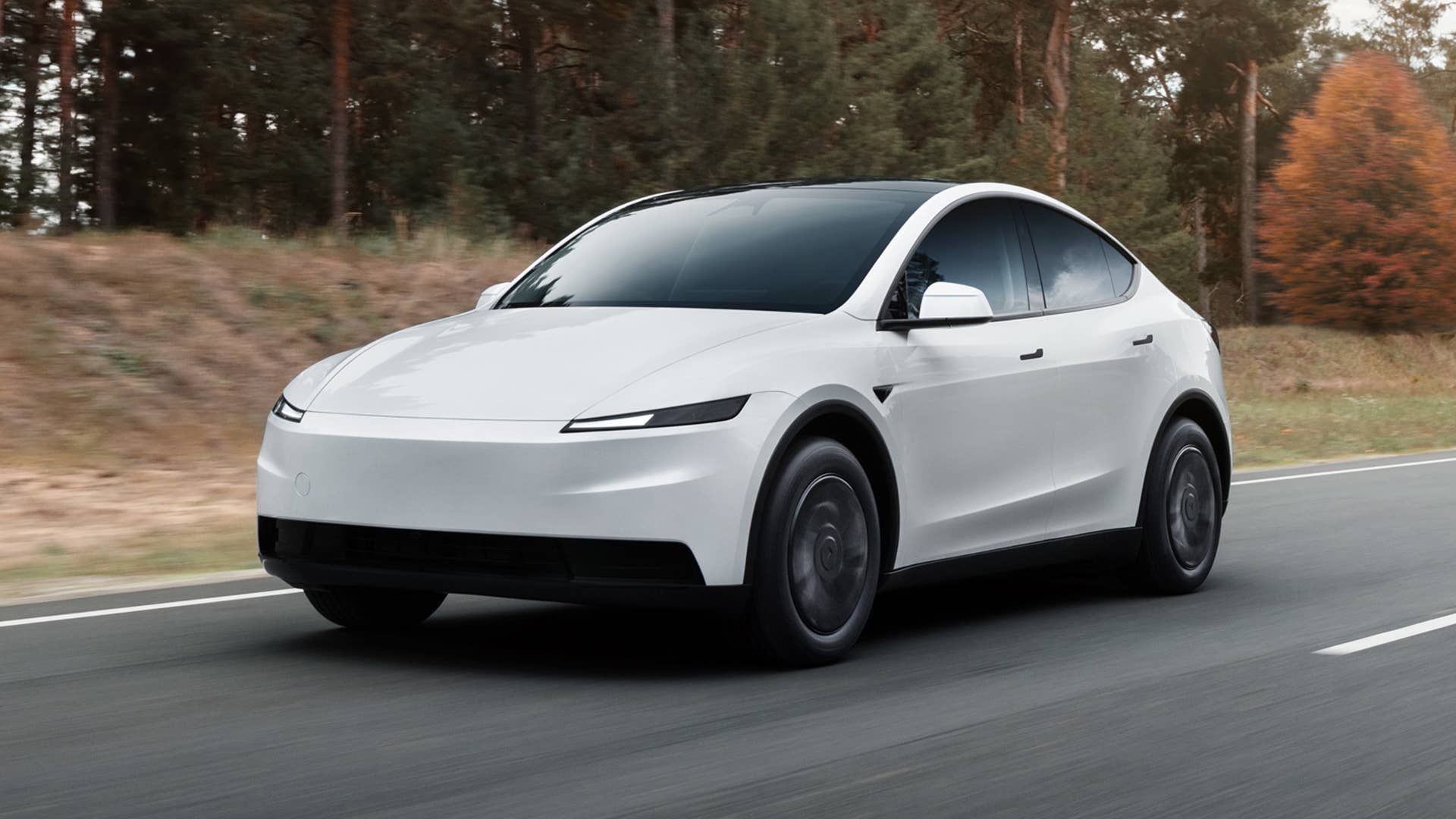 Tesla’s Latest Model Y Update Adds a Feature to Help “Bad” Drivers ...