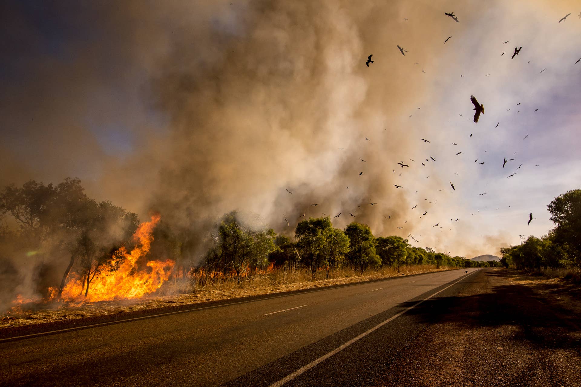 Critical Fire Warning: Highway Fire Threat Surges as 55 MPH Gusts and ...