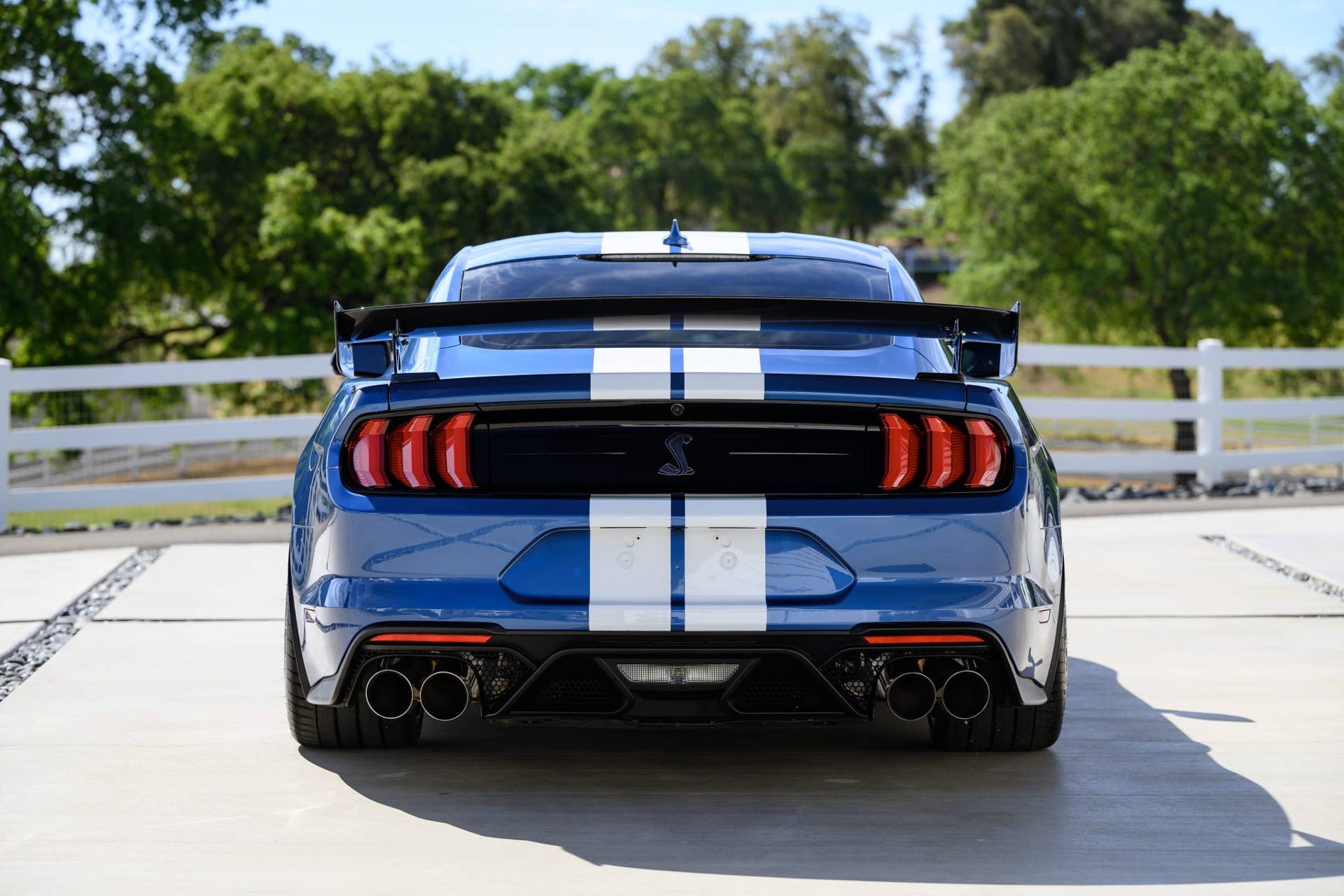 Ford May Have Dropped the Shelby Name to Save Millions - Autoblog