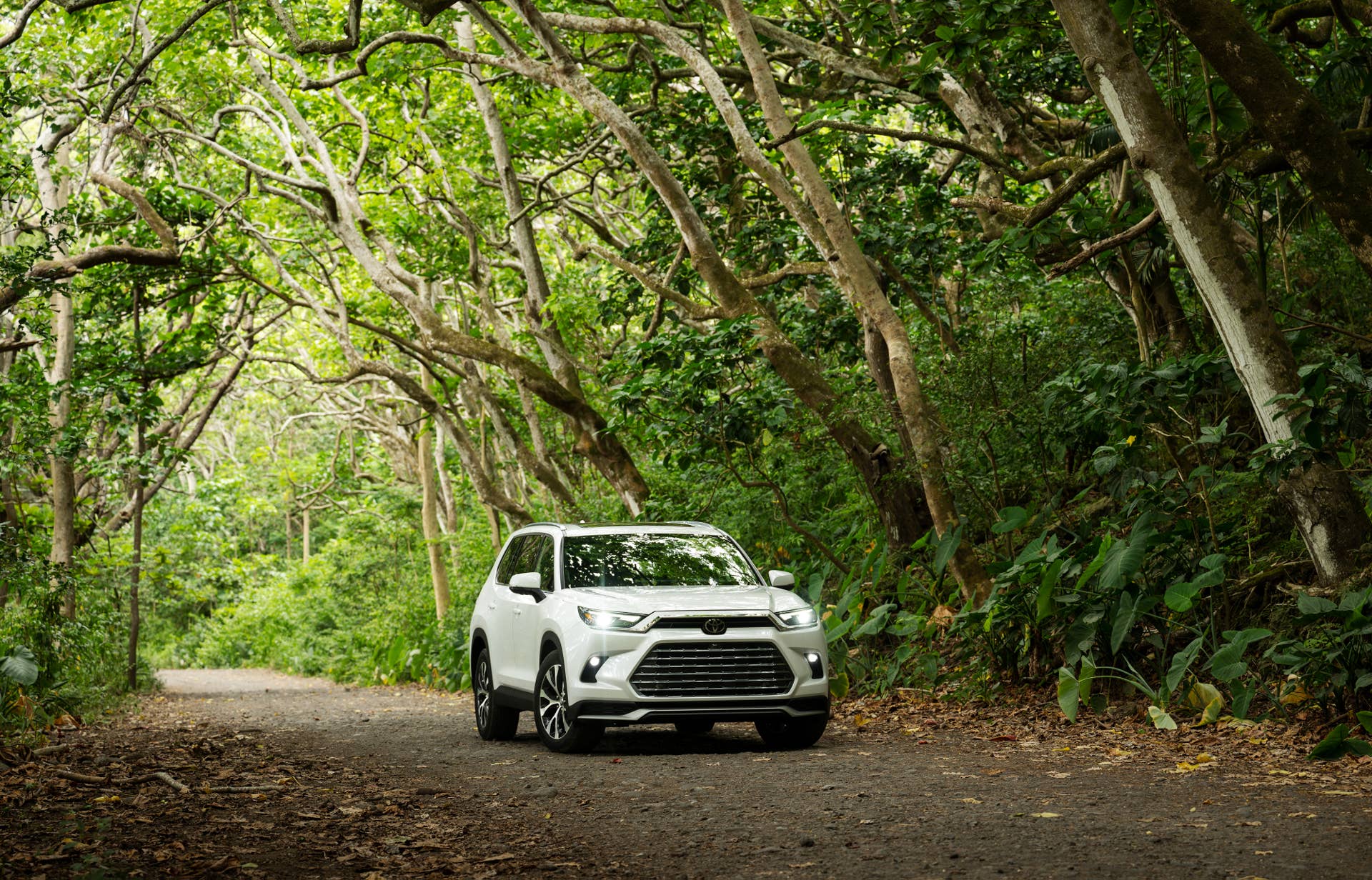 2025 Toyota Grand Highlander Review, Specs, Pricing, and Warranty ...