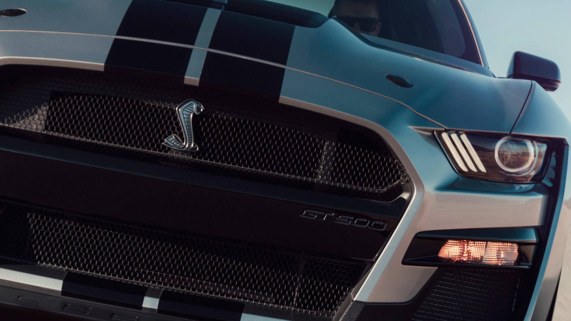 Ford May Have Dropped the Shelby Name to Save Millions - Autoblog