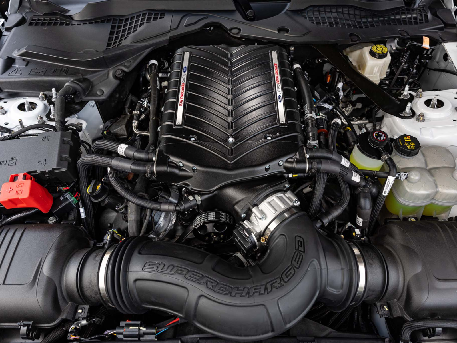 Here's How To Get An 810-HP Ford Mustang GT For Less Than GTD Money ...
