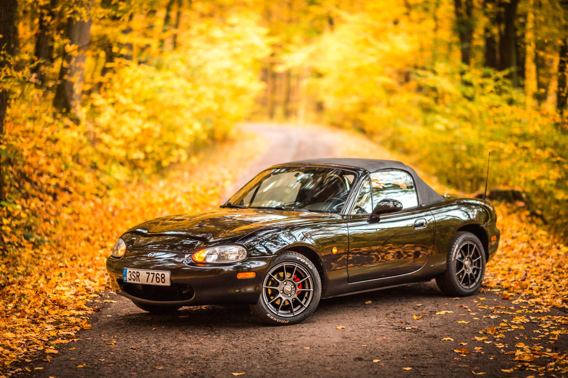 This Is Why The Mazda Miata Has A Cult Following - Autoblog