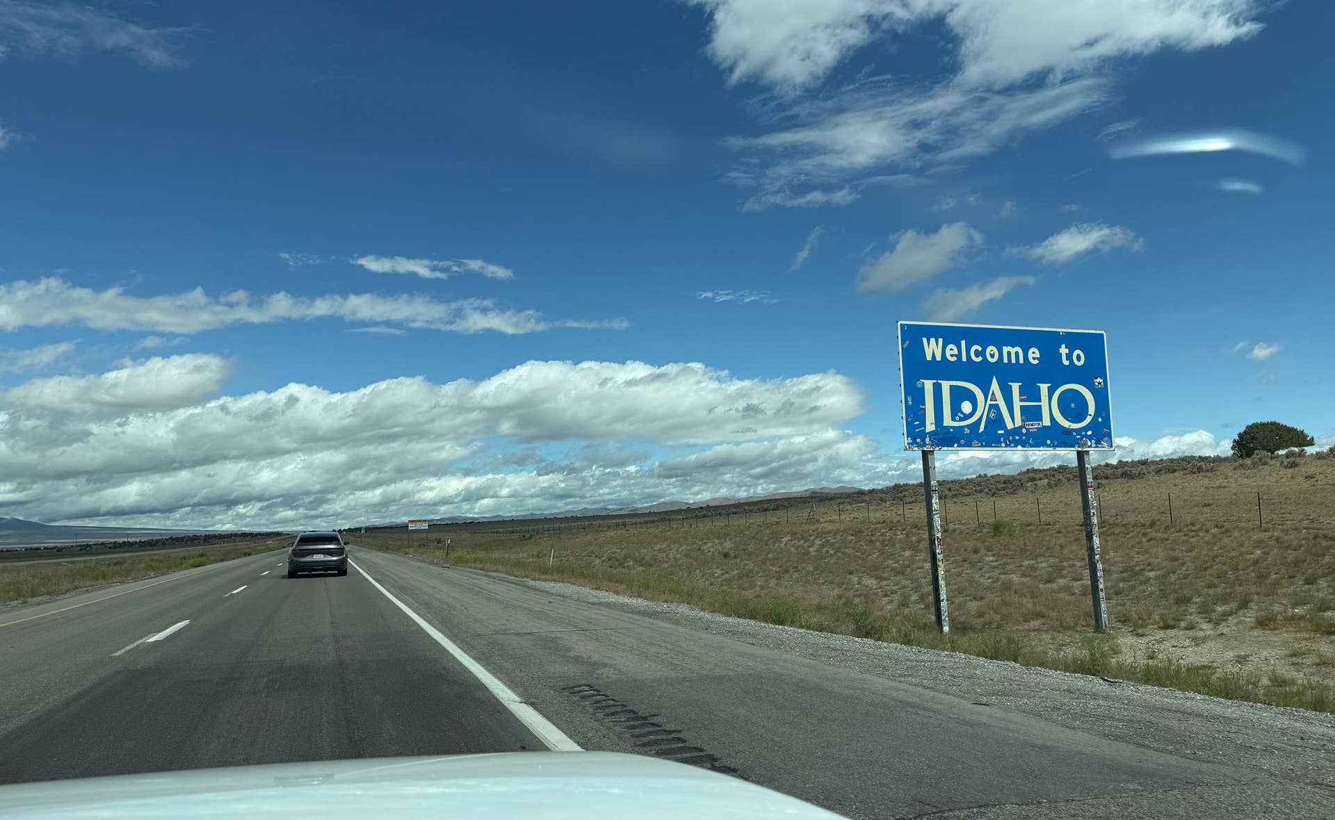 16 Dogs, 13 Volunteers, 4 EVs, and a 1,811-Mile Rescue Mission - Autoblog