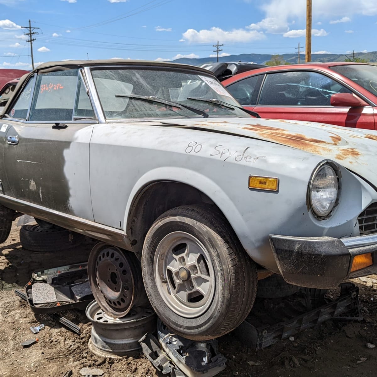 1981 fiat spider parts store