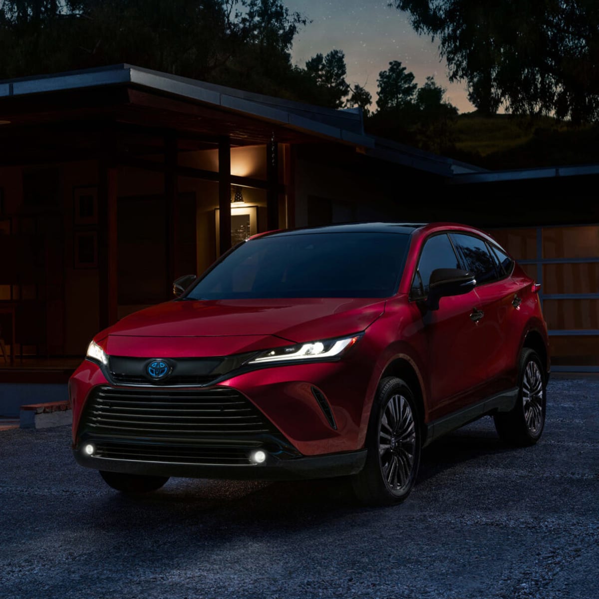 Venza phev store