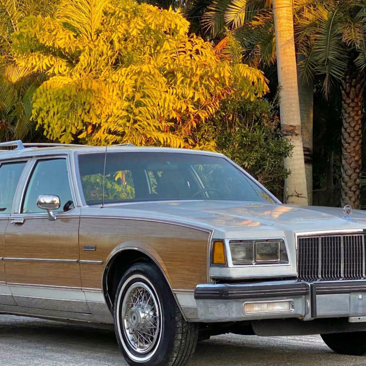 1988 buick electra estate wagon store