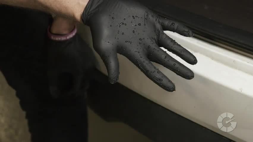 Mountain goats provide full service car wash at national park