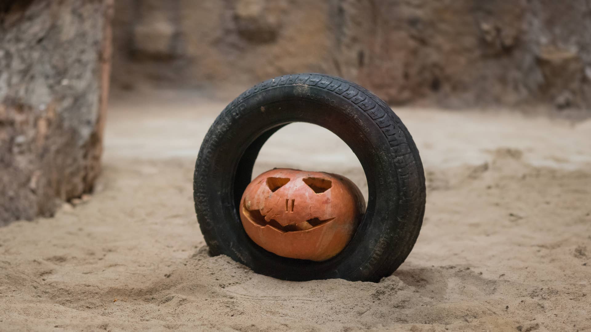 These Tire Rack Halloween deals are all treat, no trick - Autoblog