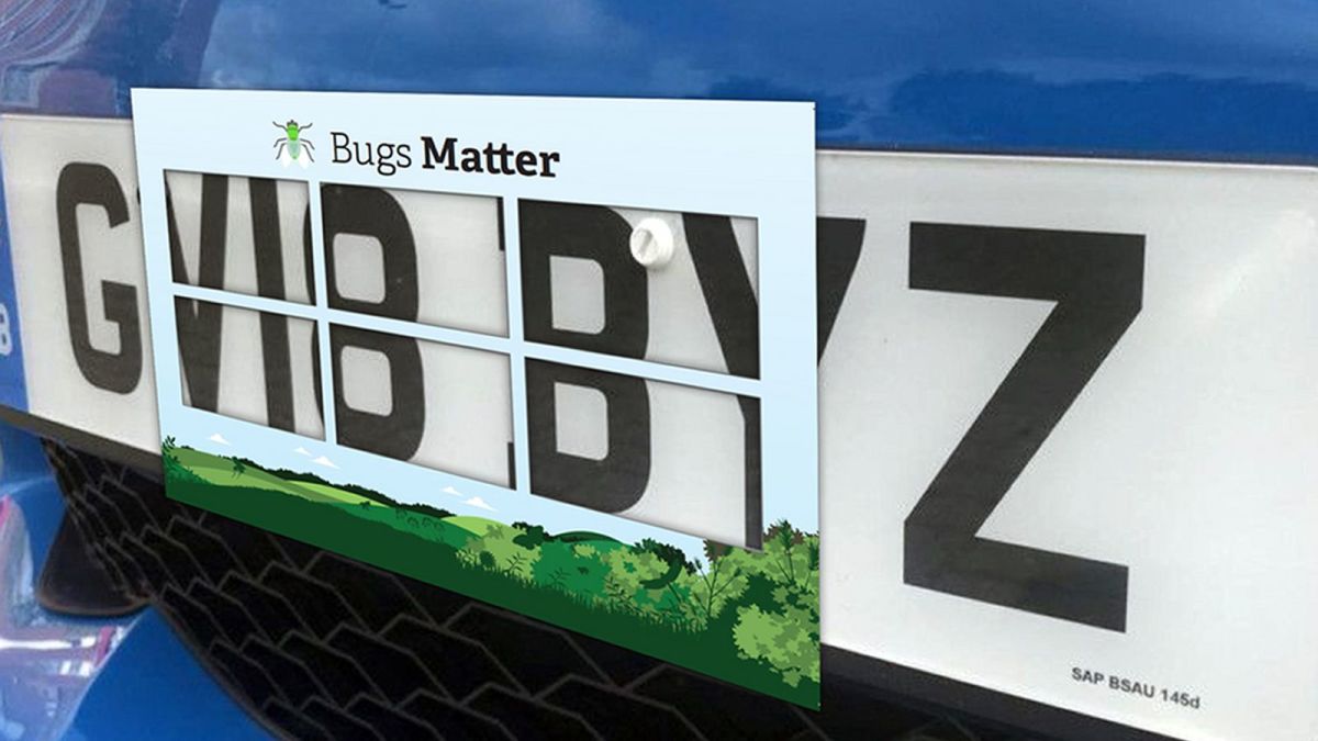 Splats on British license plates show shocking bug decline - Autoblog