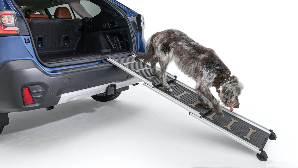 Celebrate International Dog Day by winning a Subaru Outback full of pet ...