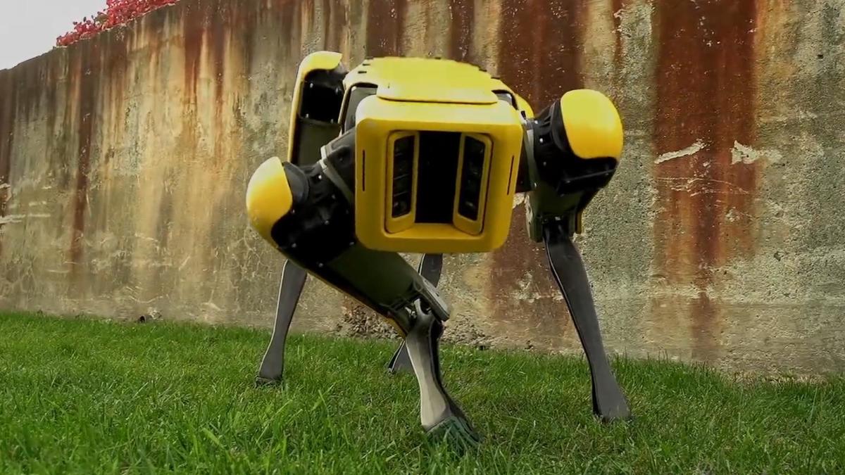 This sophisticated robot dog could be in your home sooner than you ...