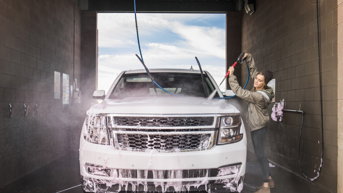 How to get rid of ants in a car - Autoblog