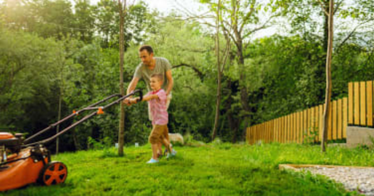 Save up to 33% on Greenworks and EGO power tools for Father's Day ...