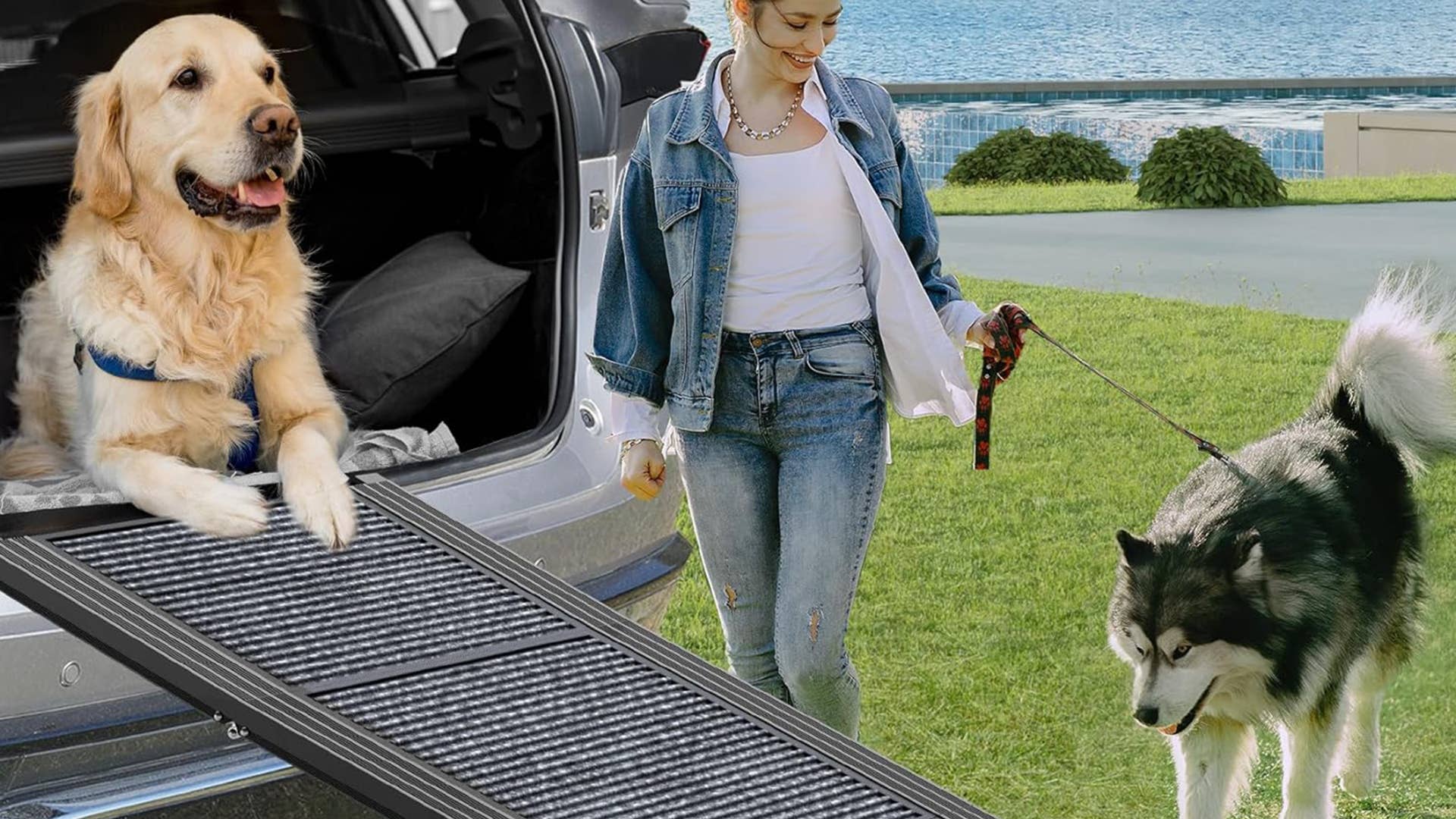 The best dog ramps for cars in 2024 - Autoblog