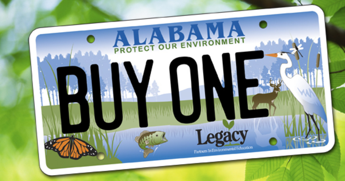 Celebrate America with these environmental license plates from almost ...