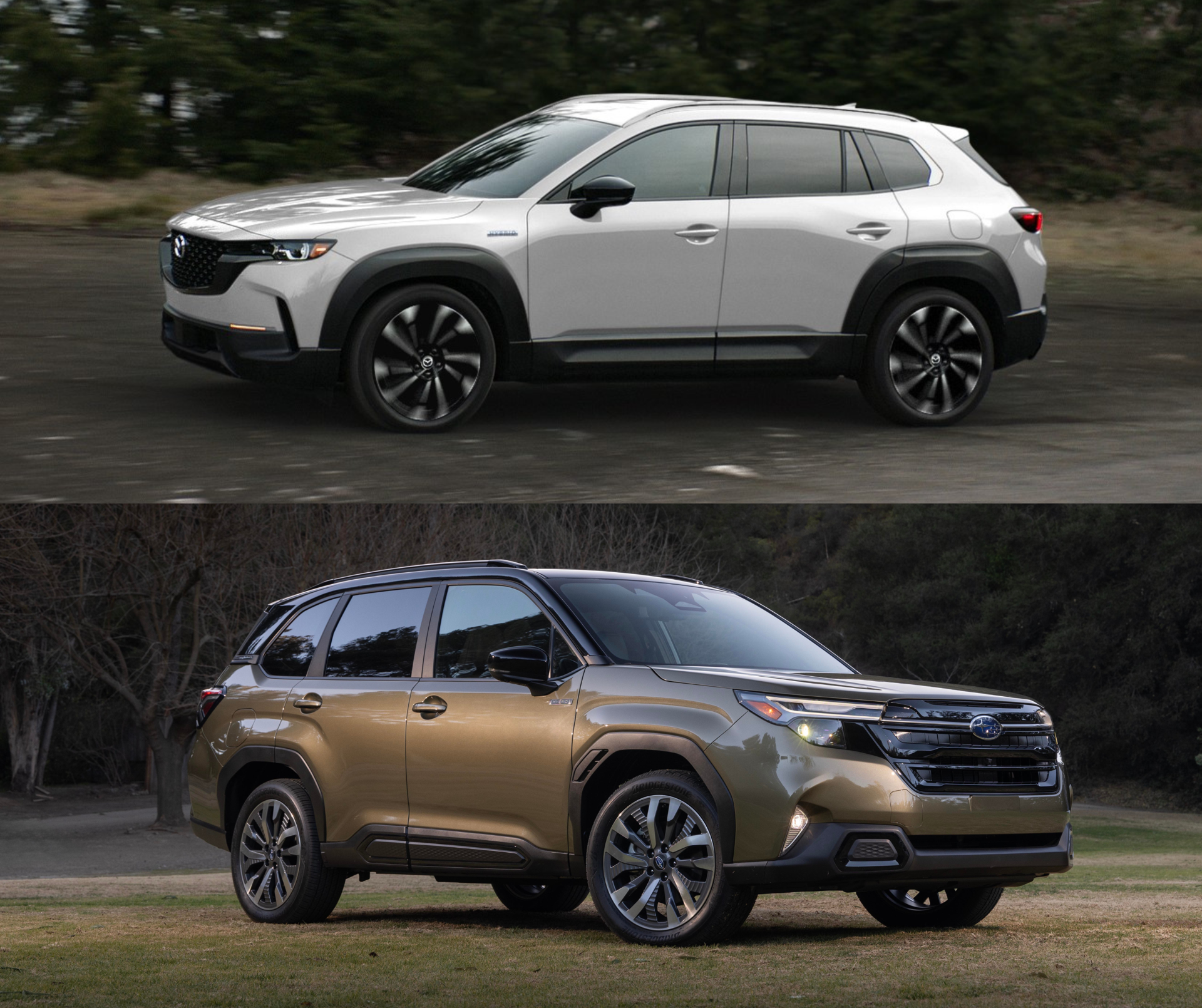 2025 Subaru Forester Hybrid vs Mazda CX-50 Hybrid: Which Makes Better ...