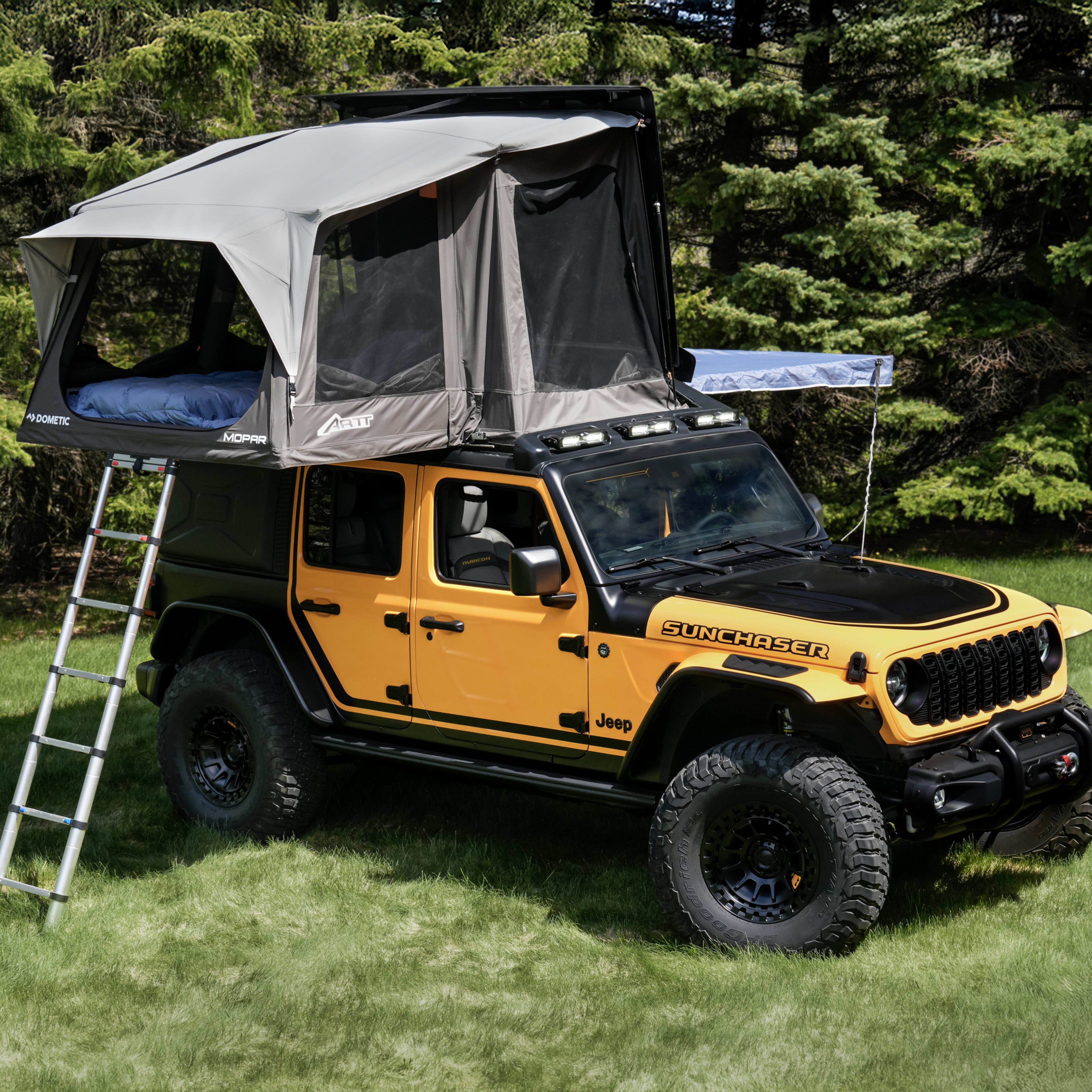 2024 Shelby Super Snake upgrades the Mustang with insane power and ...