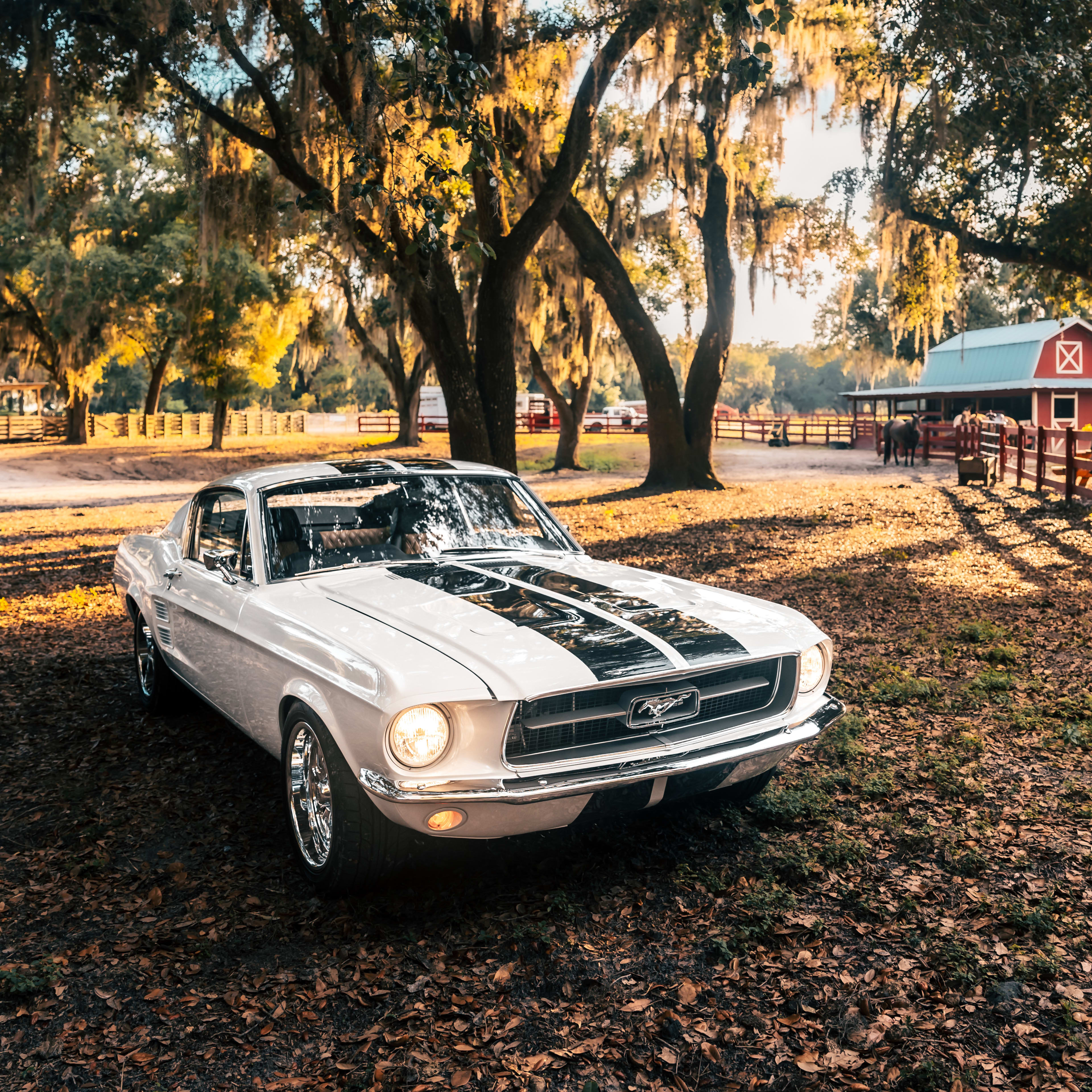 Made in America | These cars top the most-American list