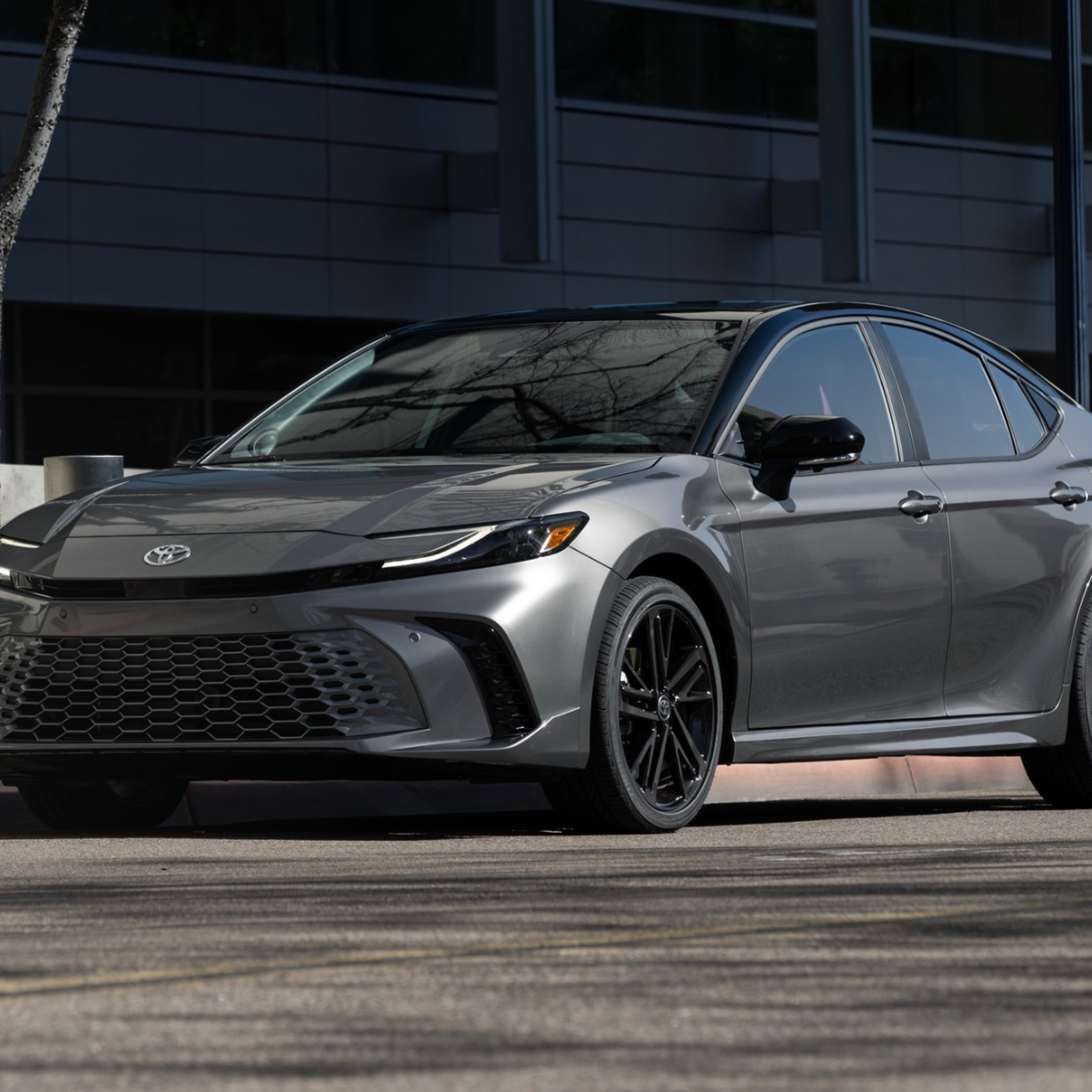 You Have Plenty of Choices With 2025 Ford Bronco Lease Deals for ...