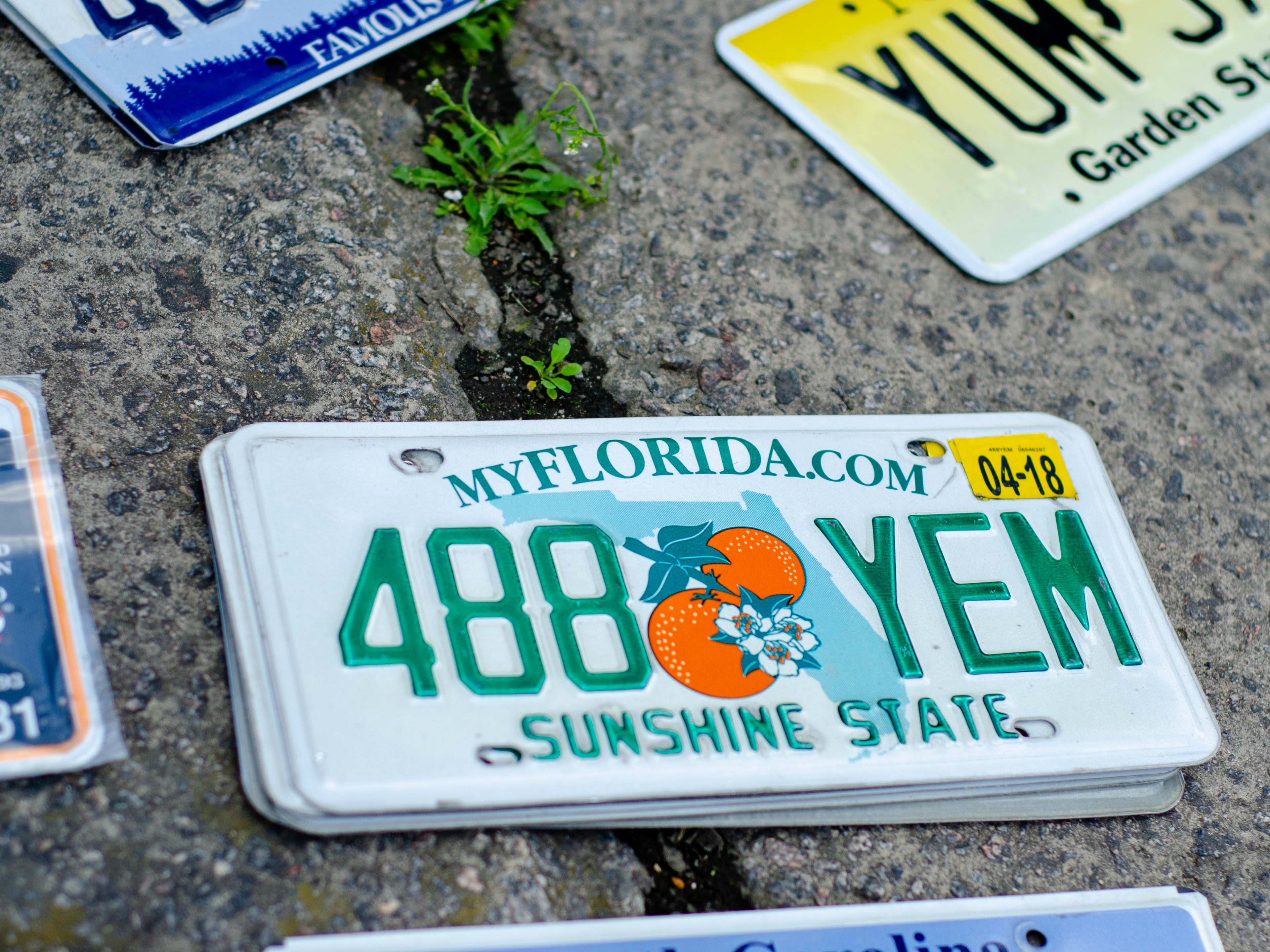 Florida Lawmakers Push for Front License Plates Over Unidentified Hit ...