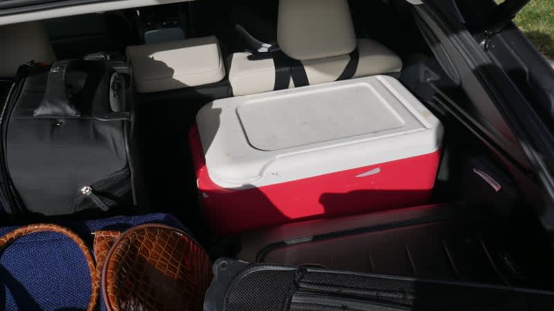 Lexus RX Luggage Test: How much fits in the cargo area? - Autoblog