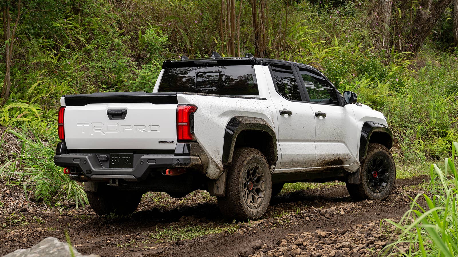 2024 Tacoma Toyota TRD Pro teased in a special 'Terra' orange color ...